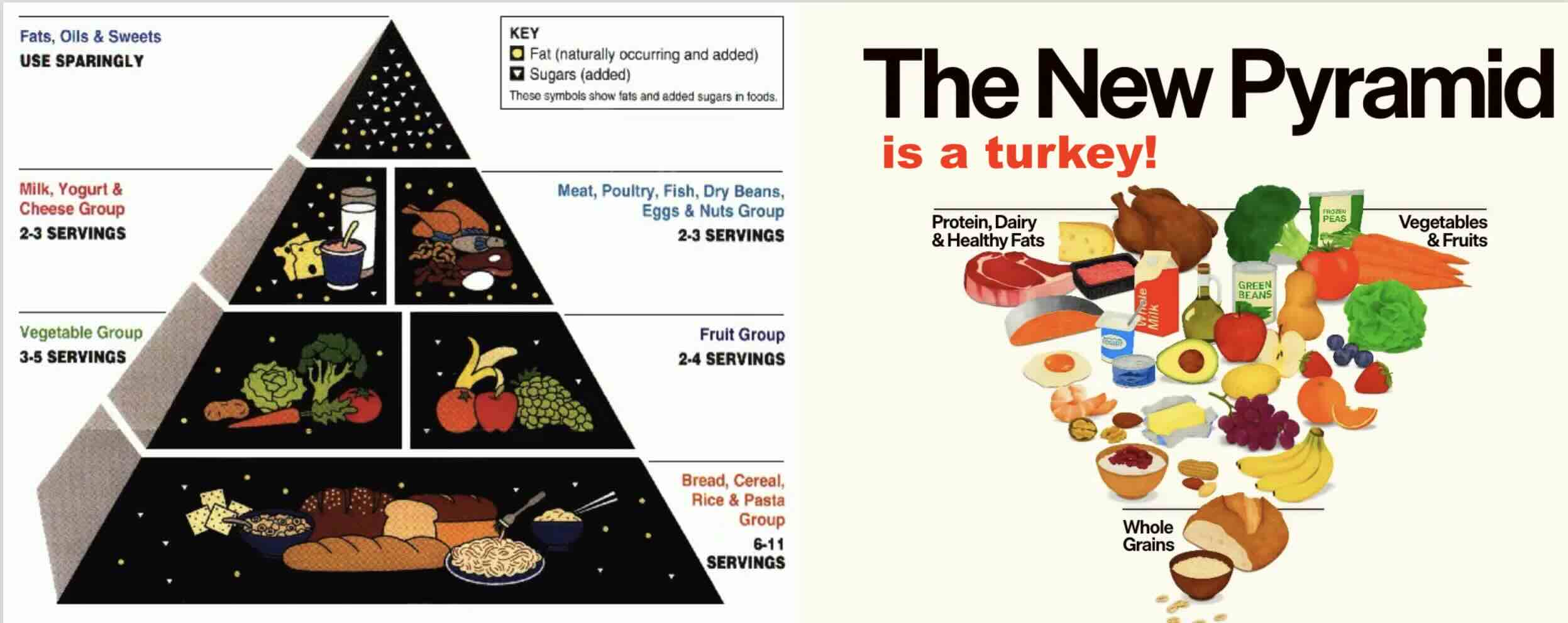 Peter McCullough: New RFK Jr. Food Pyramid STILL Isn’t Right! – Kevin ...